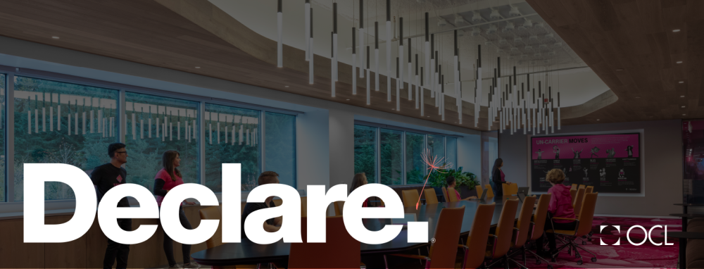 Declare - OCL Architectural Lighting